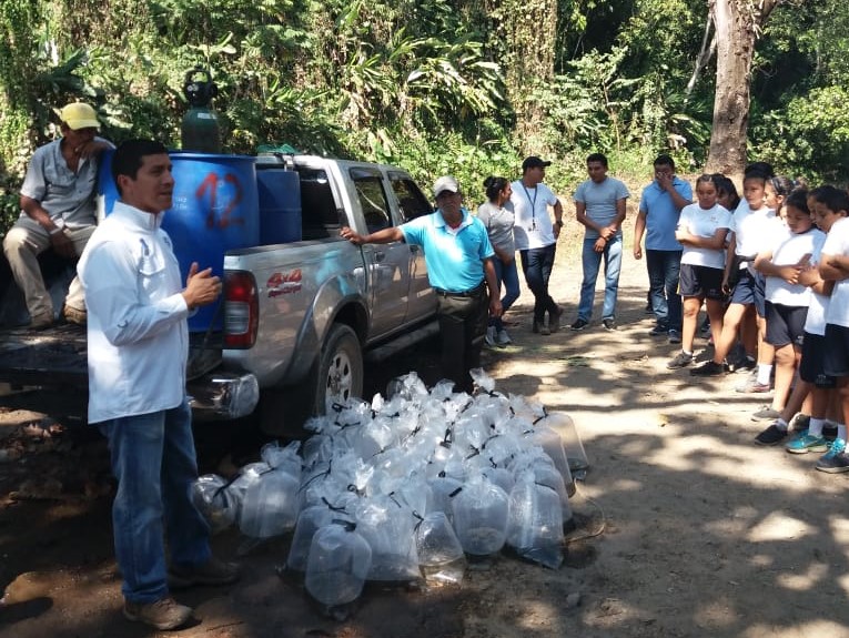 Preservan la vida acuática del río Popohuá - ICC